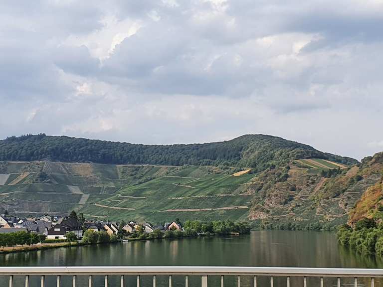 Uitzicht op de Moezel bij Minheim – Lieser Fietspad rondtocht vanuit ...