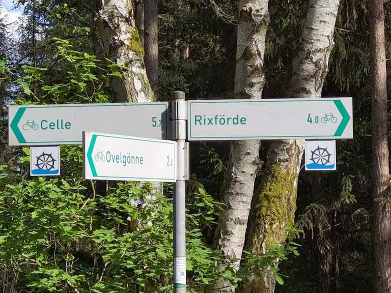 Bench Near Ovelgönne Forest Path – Hiking & Cycling Routes | Komoot