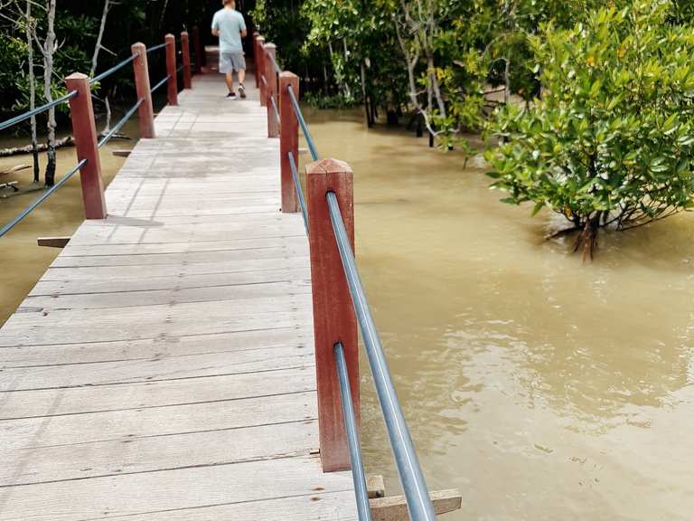 Südlichster Punkt von Asien: Wanderungen und Rundwege | komoot