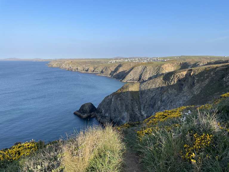 Solva to Pointz Castle loop — Pembrokeshire Coastal Path | hike | Komoot