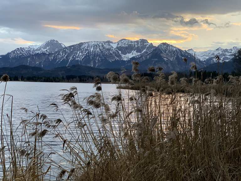 Blick auf die Ammergauer Alpen – Moor am Hopfensee Loop from Spöttl ...
