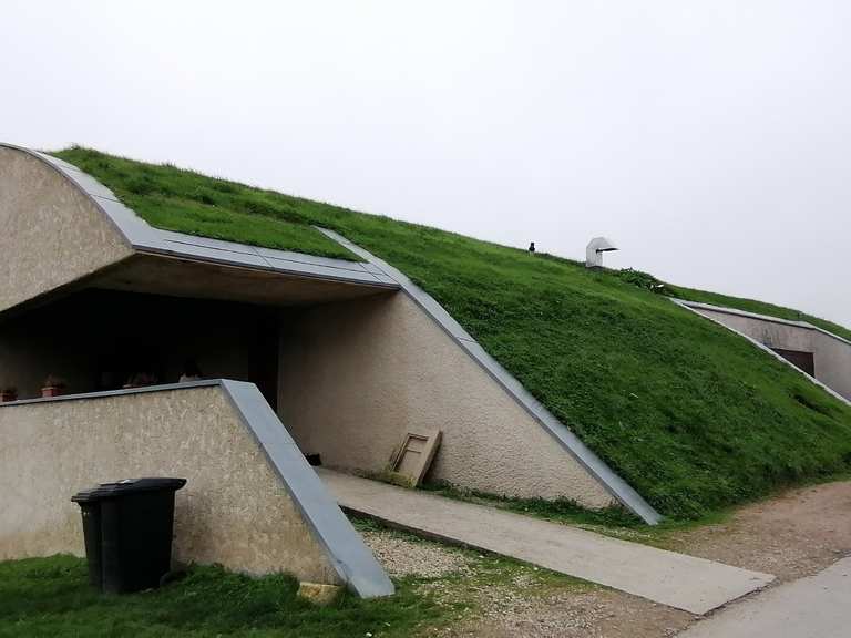 Domaine Henri Ruppert: Wanderungen und Rundwege | komoot