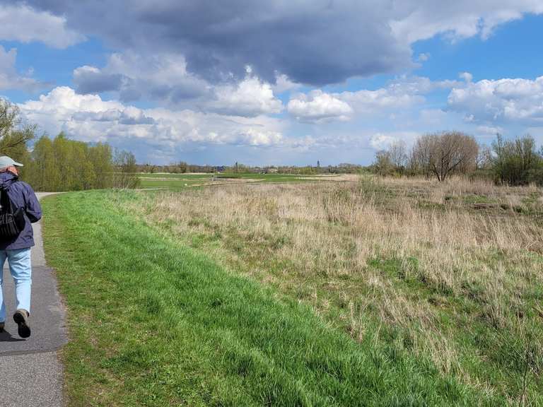 Scheldedijk Rupelmonde Routes for Walking and Hiking | Komoot