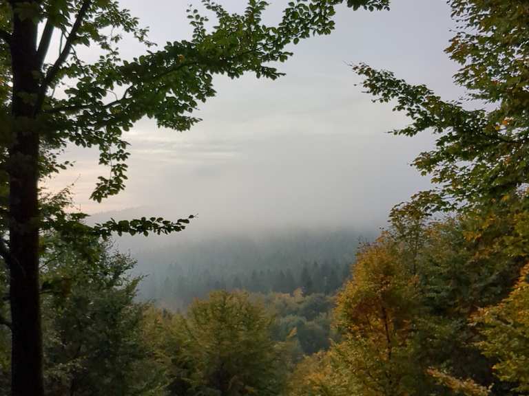 Lausche Blick: Wanderungen und Rundwege | komoot
