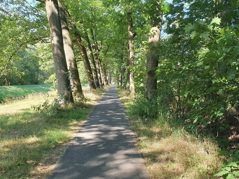 Fahrradweg : Radtouren und Radwege | komoot
