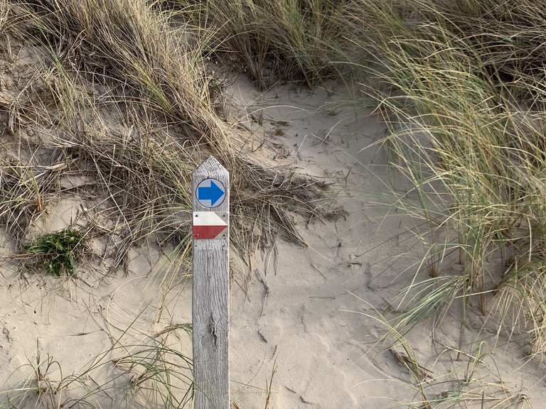 Wandelpad door de Schoorlse Duinen wandelroutes en hikes | Komoot
