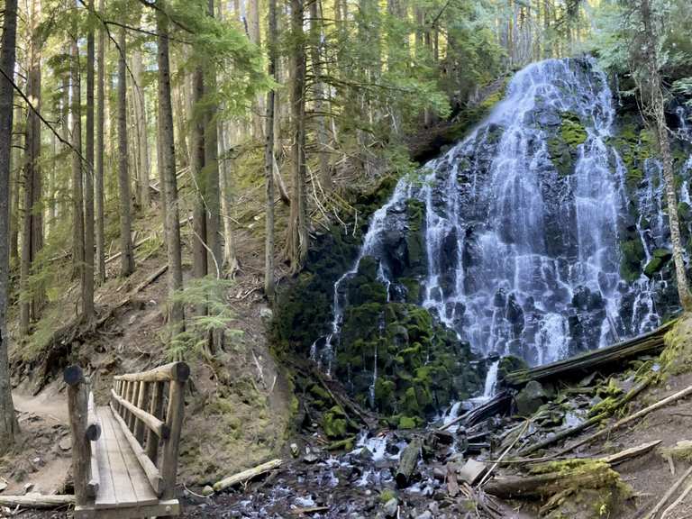 Ramona Falls Trail loop via Pacific Crest Trail - Mount Hood National ...