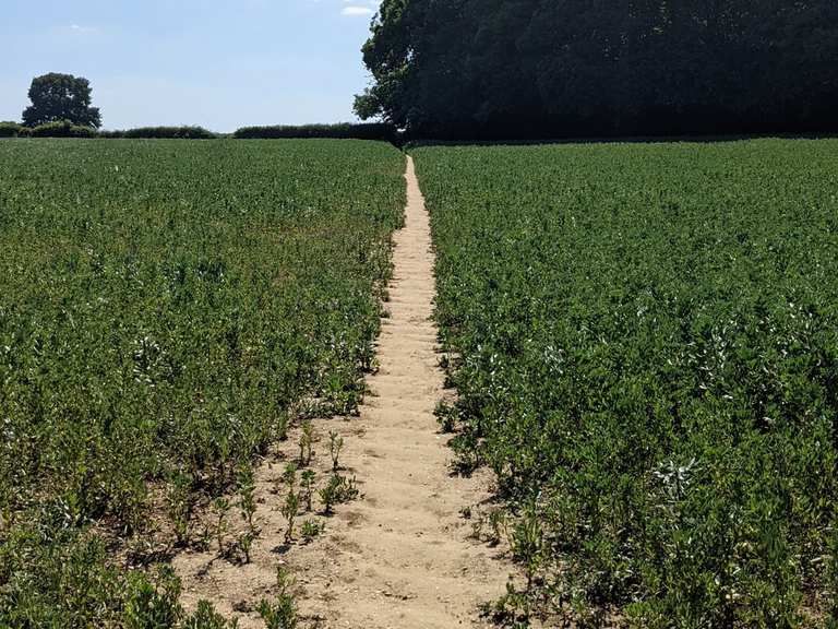Banstead-Landspaziergang: Wanderungen und Rundwege | komoot