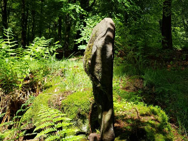 Auchtermuchty. Tipps für diese Tour: Wanderungen und Rundwege | komoot