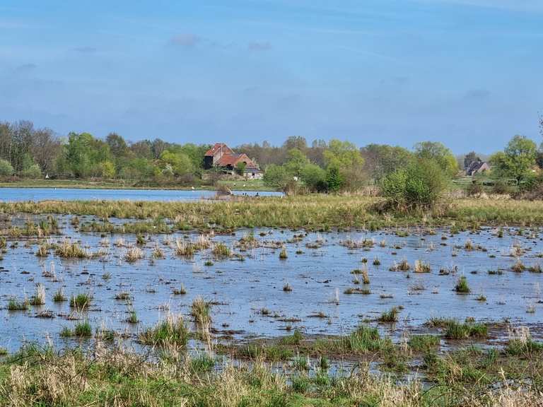Grote vijver (Mechels broek) wandelroutes en hikes | Komoot