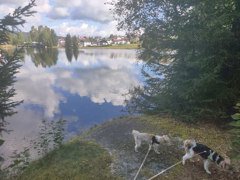 Kreuzbachsee – Hiking & Cycling Routes | Komoot