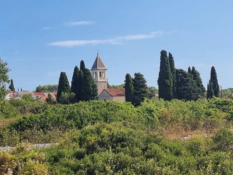 Tvrdic Honey, Grobote – Mislanica harbor loop from Grohote | bike Tour ...