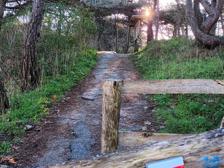 Natuurgebied De Zandpanne wandelroutes en hikes | Komoot