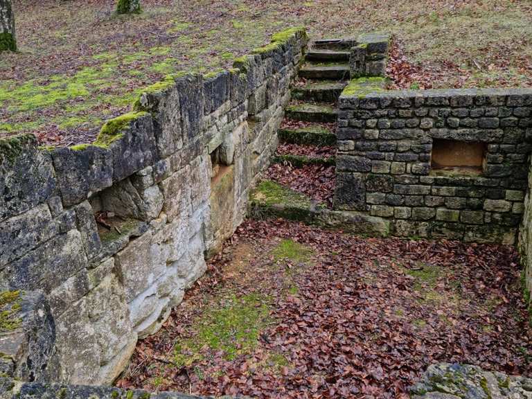 Oppidum - Titelberg - Itinéraires de rando et marche | Komoot