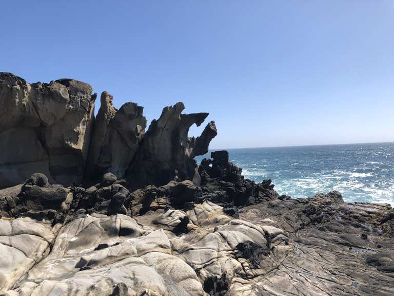 Bluff Trail Loop — Salt Point State Park Collection: Collection Tour ...