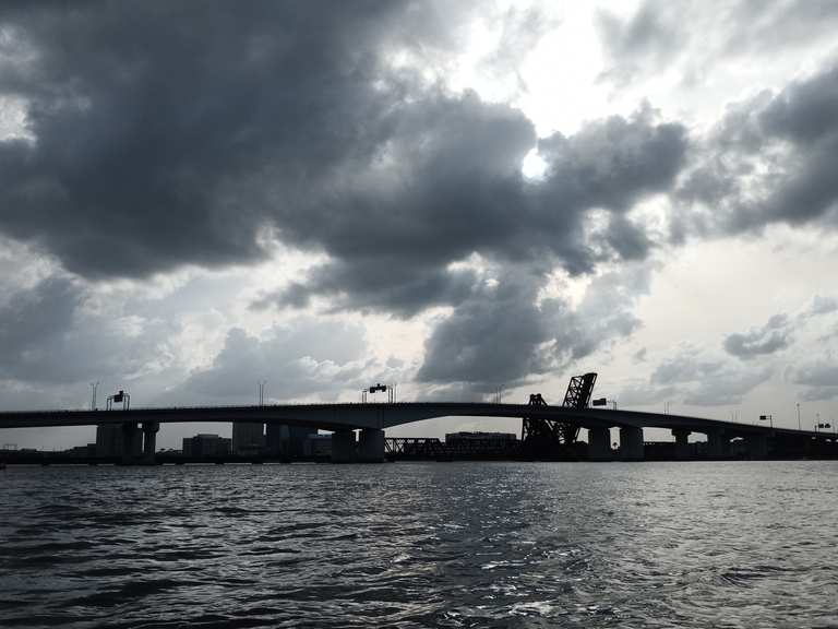 Pętla piesza Fuller Warren & John T. Alsop Jr. Bridge — Jacksonville ...