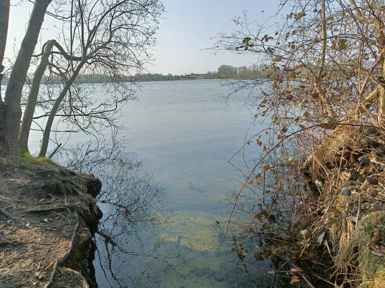 Grote vijver (Mechels broek) wandelroutes en hikes | Komoot