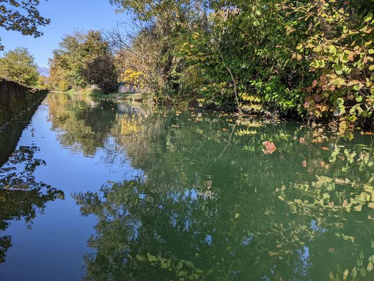 Stradone del Bosco: percorsi e itinerari MTB | Komoot