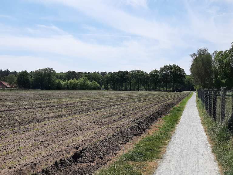 Torendreef onverhard: Radtouren und Radwege | komoot