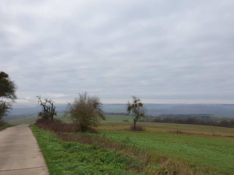 Verbindungsweg zwischen Rammelfangen und Niedaltdorf : Radtouren und ...