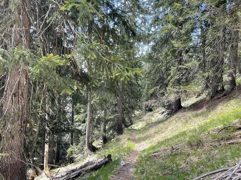 Vergessener Steig zur Hochkienbergalm - Ruhpolding, Chiemgau | Bergtour ...