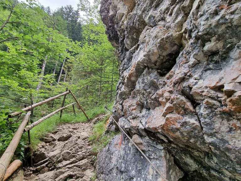 Steiler Anstieg: Wanderungen und Rundwege | komoot