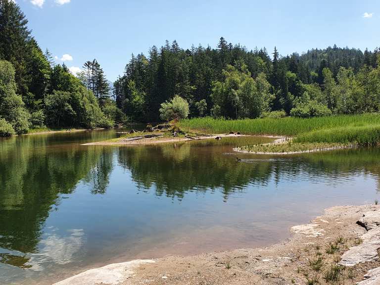 Lago Chapfensee : percorsi escursionistici e trekking | Komoot
