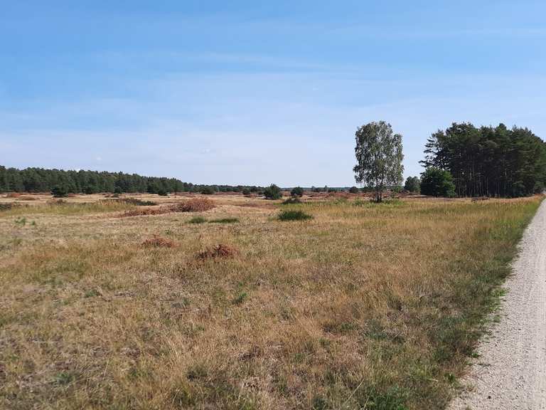 Circuit de la lande de Probst Jesar | randonnée pédestre | Komoot