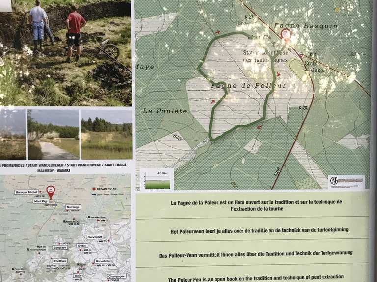 Mont Rigi wandelroutes en hikes | Komoot