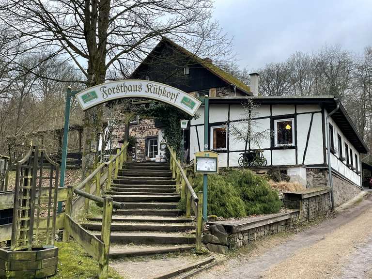 Pfad zum/vom Kühkopf – Forsthaus Kühkopf Runde von Waldesch | Wanderung ...