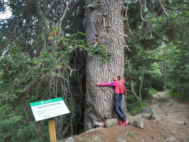 Cascada de la Ratera y Mirador del Lago de San Mauricio desde Prat de ...