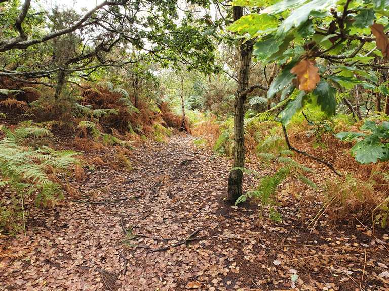 Wirral Way - Cycle Routes and Map | Komoot