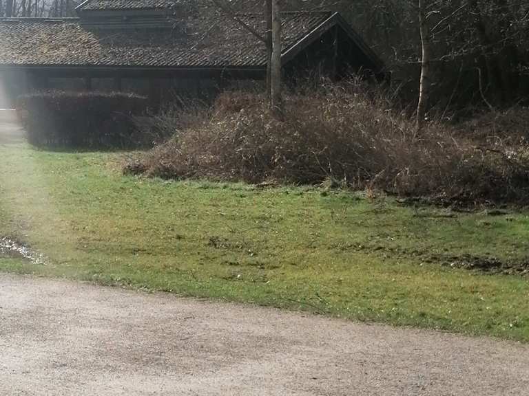 Het meer van Rotselaar wandelroutes en hikes | Komoot