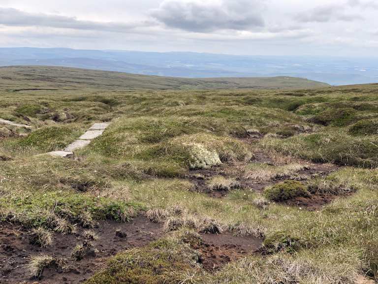 The Cheviot Routes for Walking and Hiking | Komoot