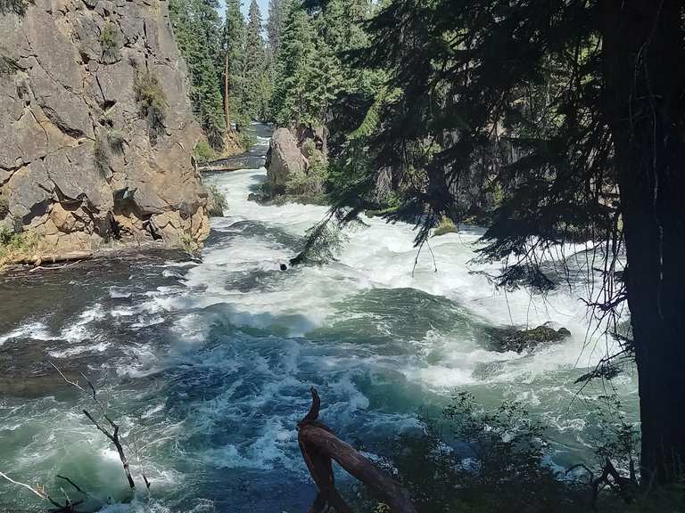 Dillon Falls & Benham Falls via Deschutes River Trail — Deschutes ...
