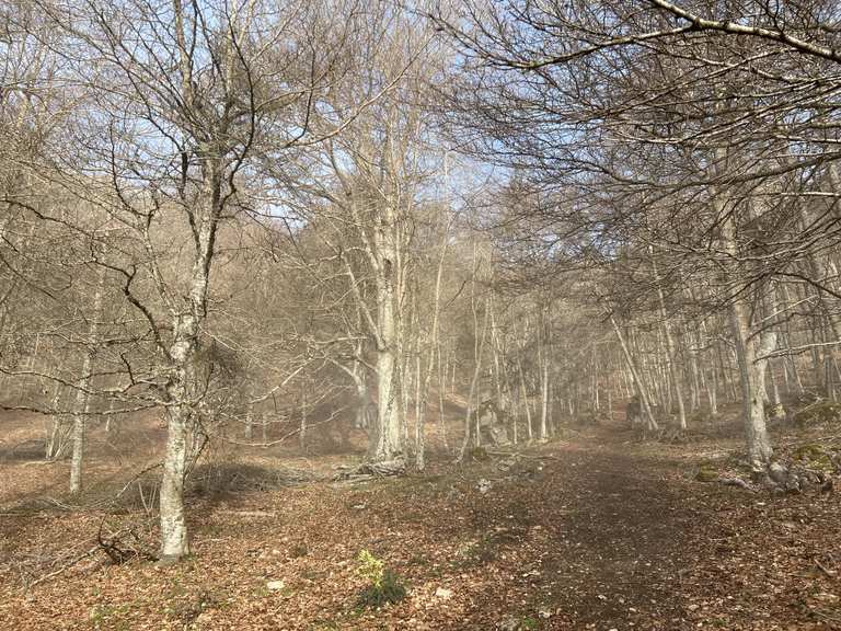 Aufstieg zum Humión - von Cubilla de la Sierra aus — Rundweg durch den ...