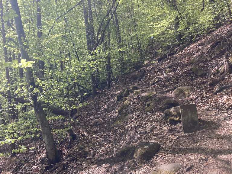 Szlak graniczny między Francją a Niemcami – trasy piesze | Komoot