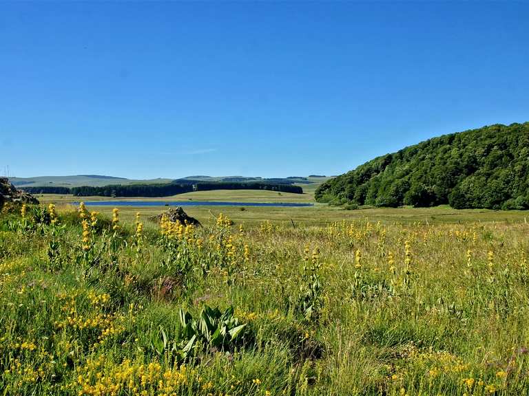 Jakobsweg durch Frankreich – Via Podiensis | Fahrrad-Collection von komoot