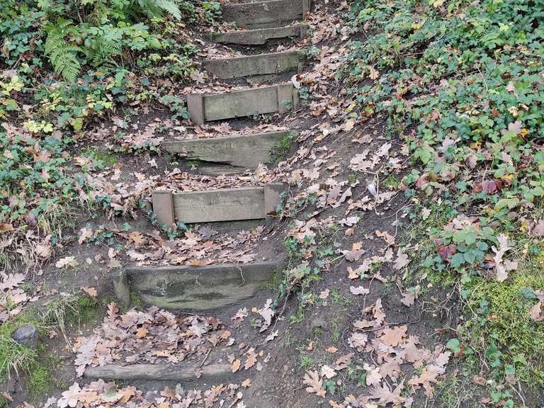 Fort Wommelgem: Wanderungen und Rundwege | komoot