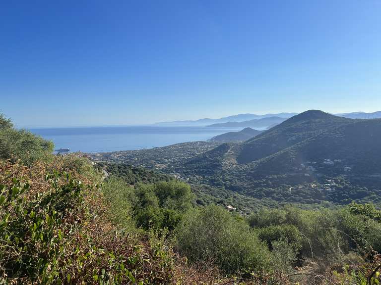 Occiglioni Santa-Reparata-di-Balagna - Santa-Reparata-Di-Balagna, Calvi ...