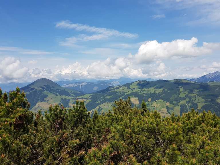 Geisberg (Gipfel, 1770 m): Wanderungen und Rundwege | komoot