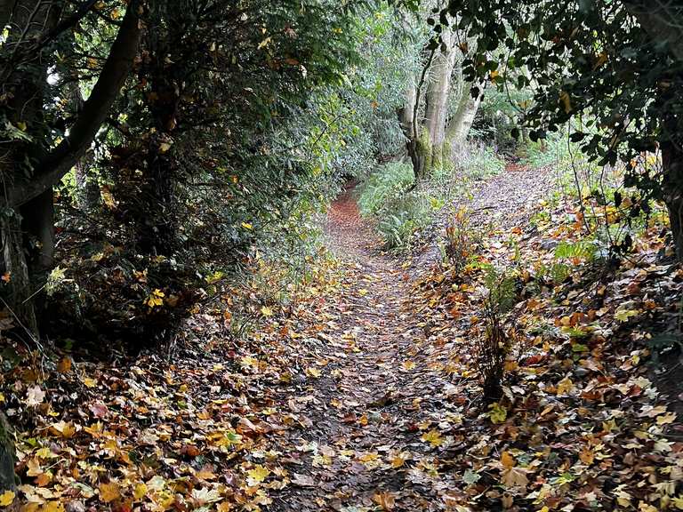 Shere drop, Dark Lane Mountain Bike Trails & Tracks | Komoot