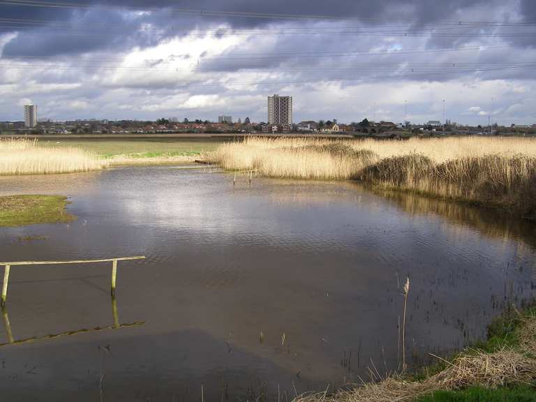 Testwood Lakes & Lower Test Nature Reserve loop | run | Komoot