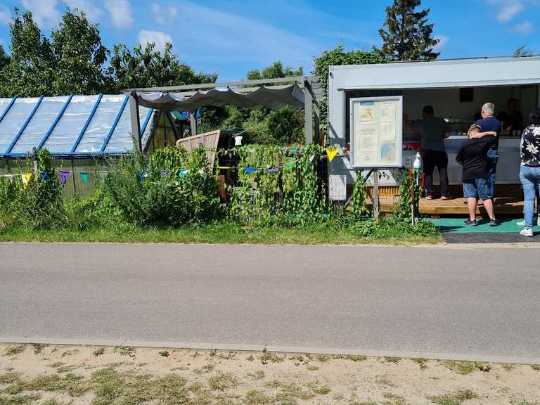 Eiseck Damitz: Mountainbike-Touren und -Trails | komoot