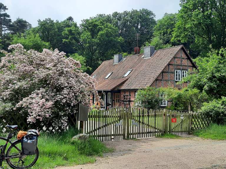 Rundtour durch das NSG Lüneburger Heide: Wesel-Wilseder Berg: Radtouren ...