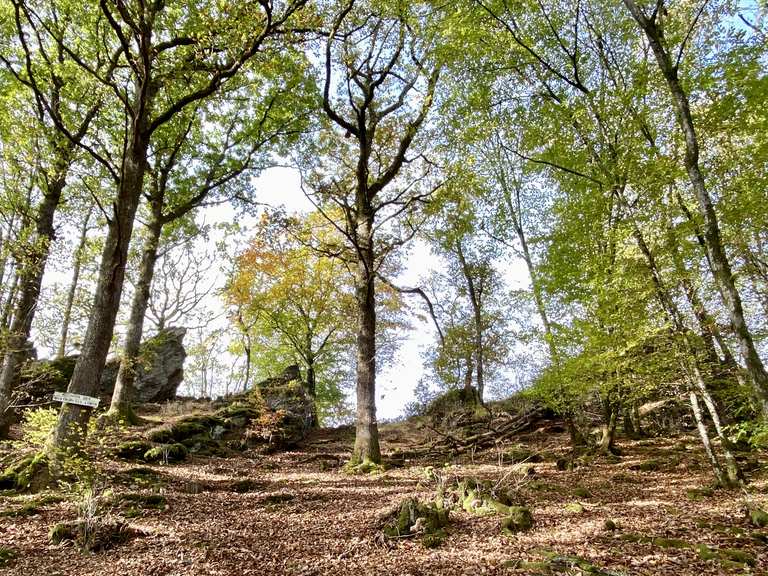 Crêtes de Frahan - circuito a partir de Rochehaut no parque nacional do ...