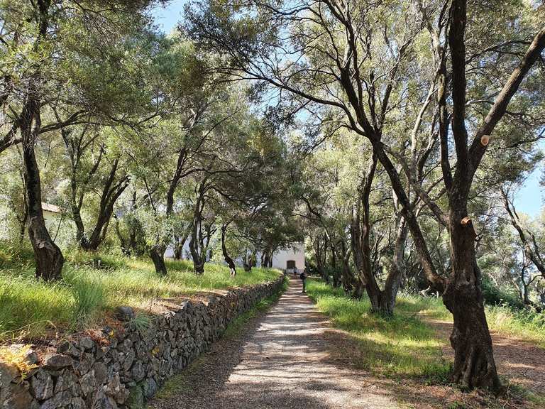 Villa "Leonida Repaci", Pietrosa: Wanderungen und Rundwege | komoot