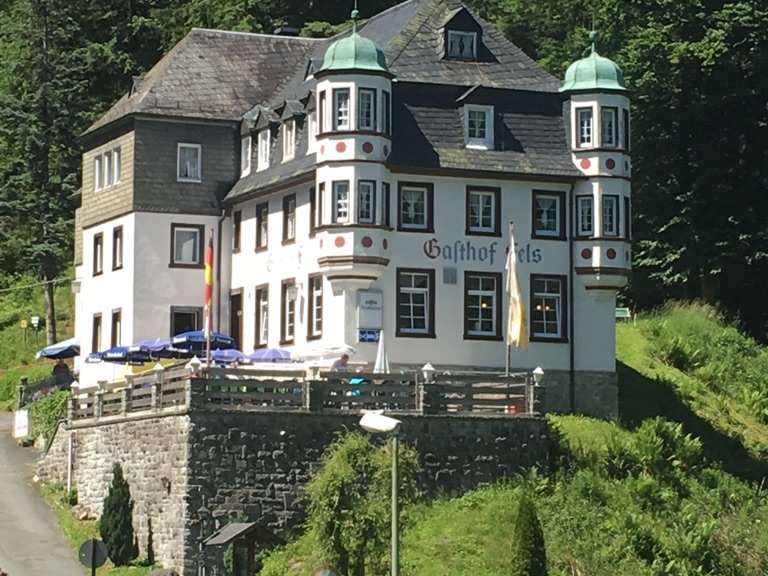 Single Trail hinter dem Gasthof Fels: Mountainbike-Touren und -Trails ...