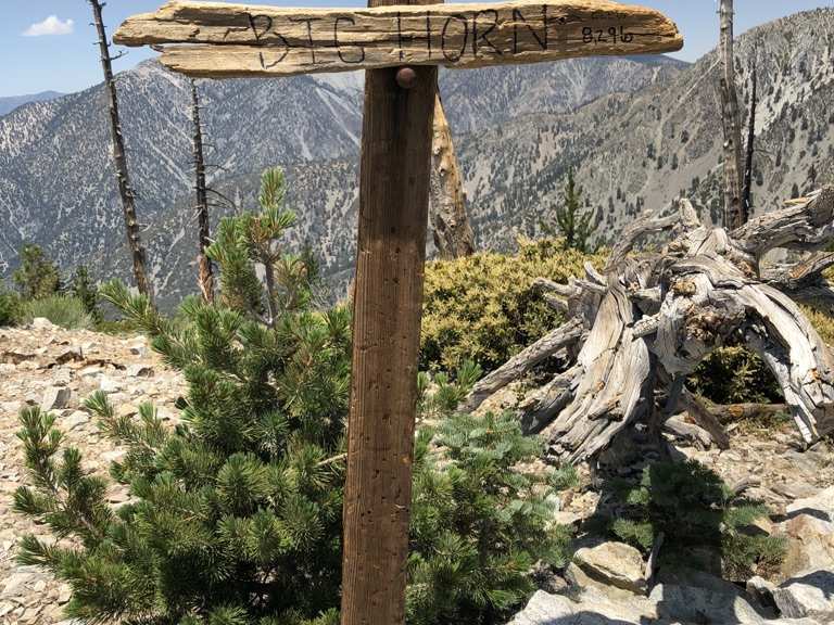 Cucamonga Peak via Icehouse Canyon Trail loop — San Bernardino National ...