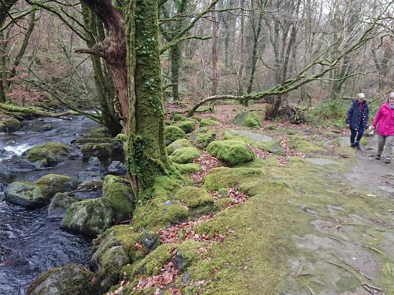 Senda del bosque de Afon Ysgethin y puente de piedra: Rutas MTB | Komoot